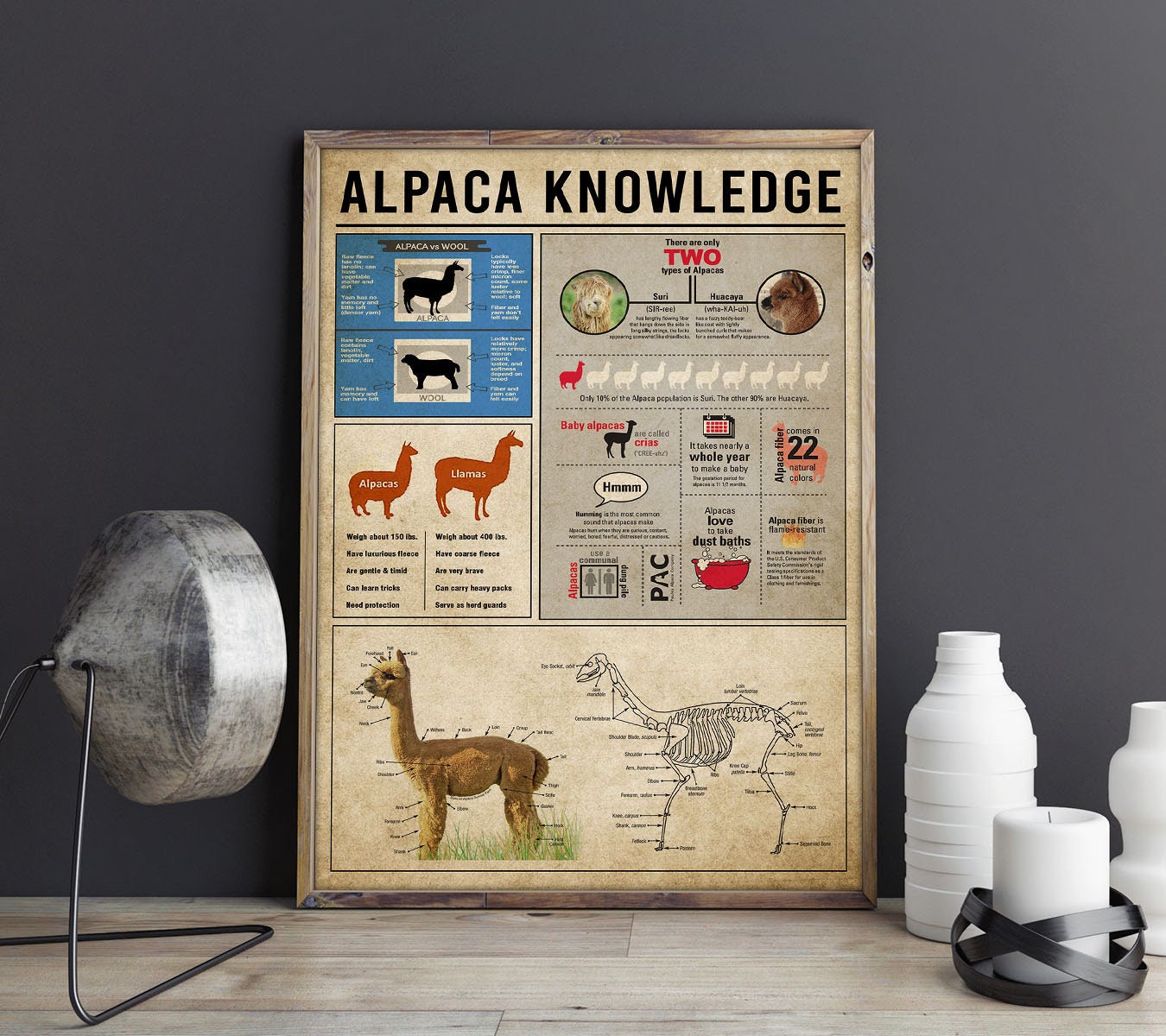 Alpacas Knowledge Vintage Digital Files Poster, Alpacas Knowledge ...