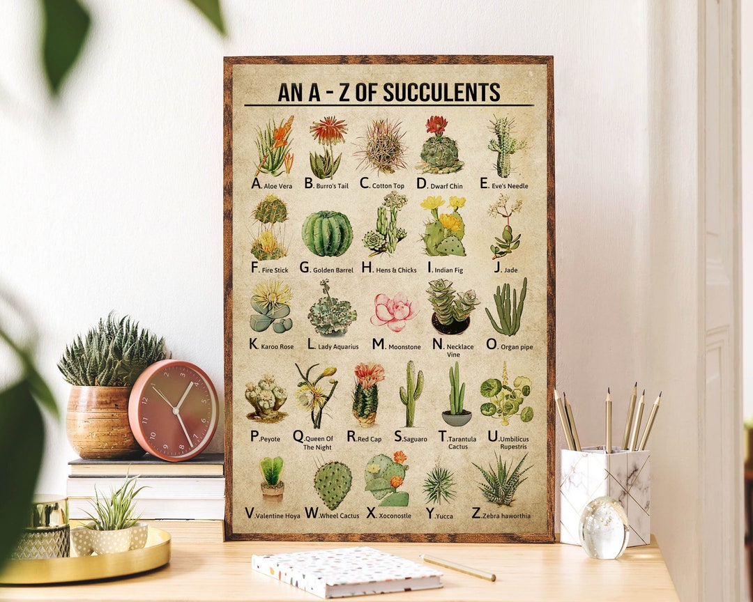 An A-Z of Succulents Digital Files Poster Gift, Types of Succulents ...