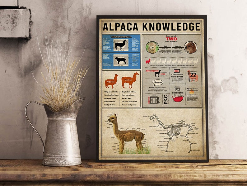 Alpacas Knowledge Vintage Digital Files Poster, Alpacas Knowledge ...