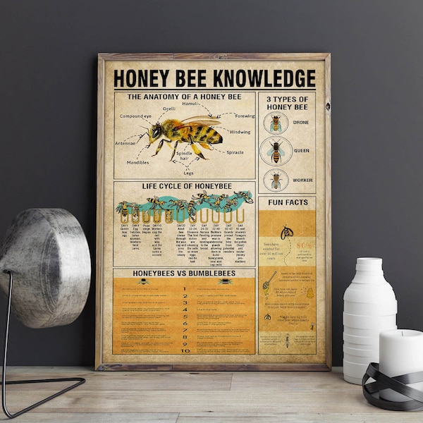 Honey Bee Decor - Etsy