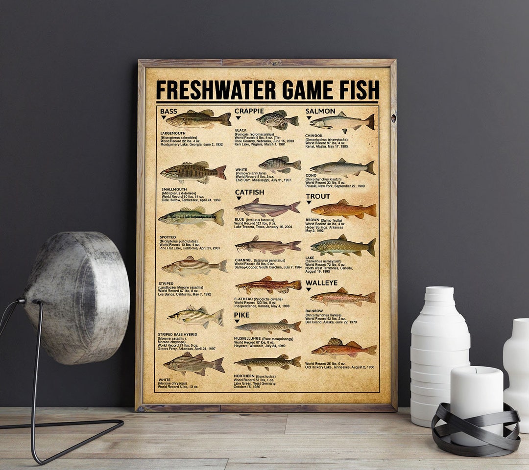 Fresh Water Game Fish Vintage Digital Files Poster, Fishing Water Game ...