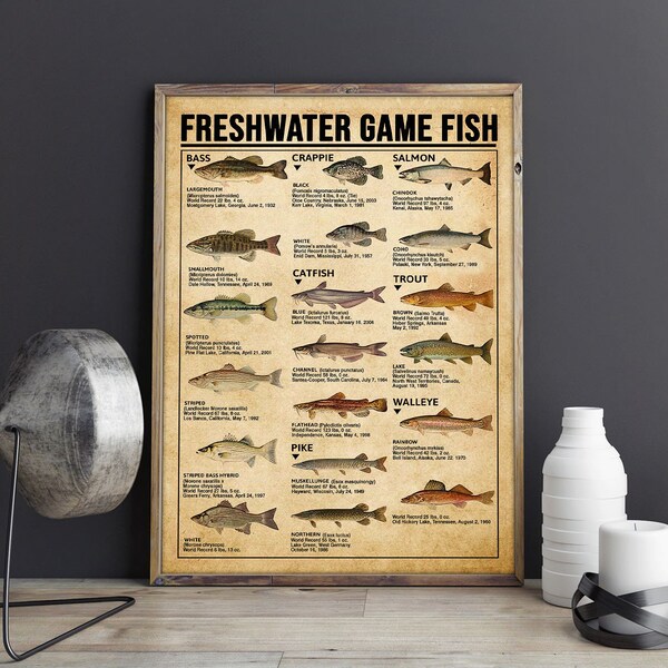 Vintage Fish Poster - Etsy