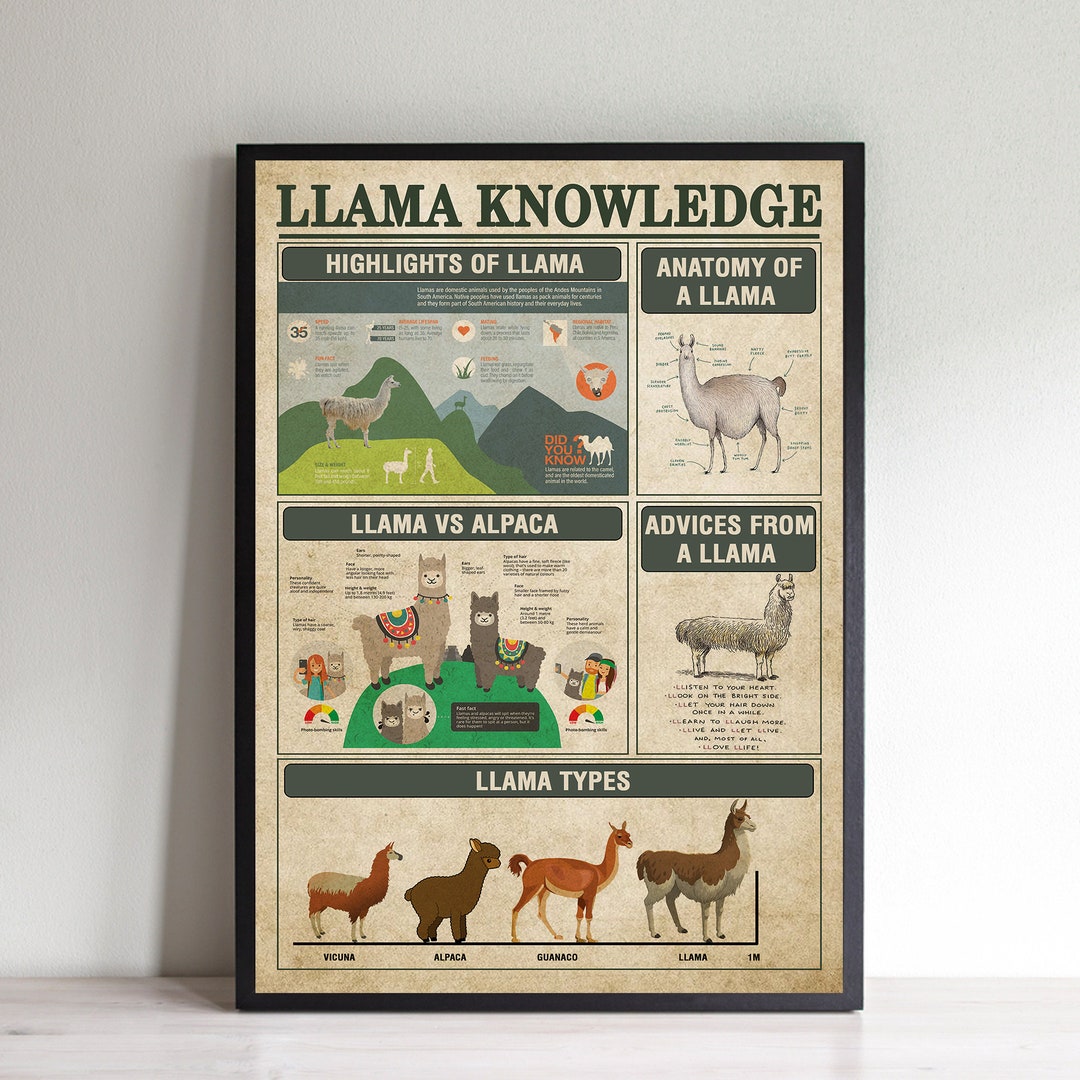 Llama Knowledge Digital Files Poster, Alpaca Knowledge Poster, Alpaca ...