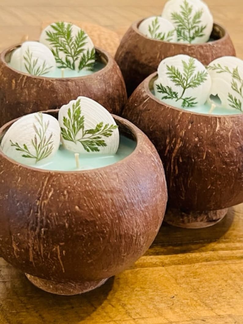 Fraiser Fir, Coconut Shell, Candle, Christmas Candle, Handmade Candle, Home Decor, Christmas ...
