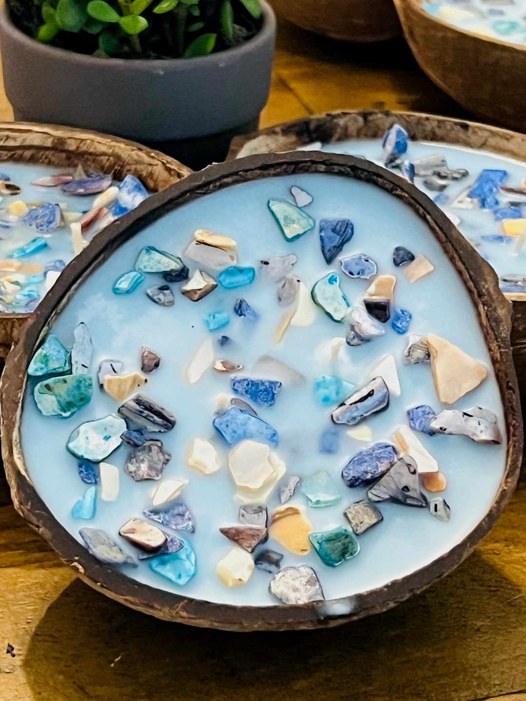 Baja Blue Coconut Shell Candle, Shell Accents, Beach Home Decor - Etsy