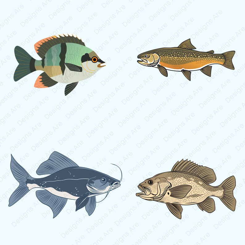 Lake Fish Clip Arts, Lake Fish PNG, Fish Illustration, Printable Art ...
