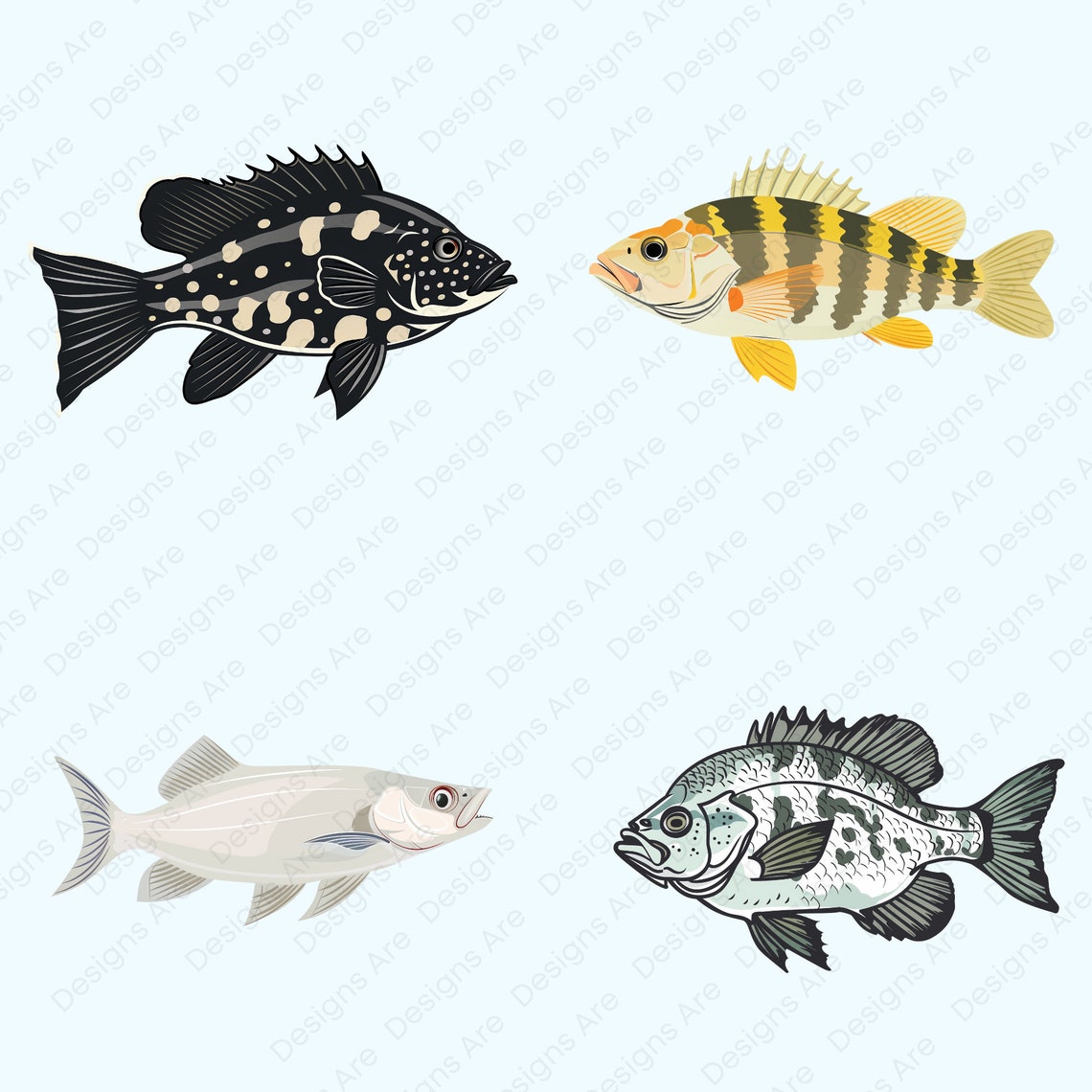 Lake Fish Clip Arts, Lake Fish PNG, Fish Illustration, Printable Art ...