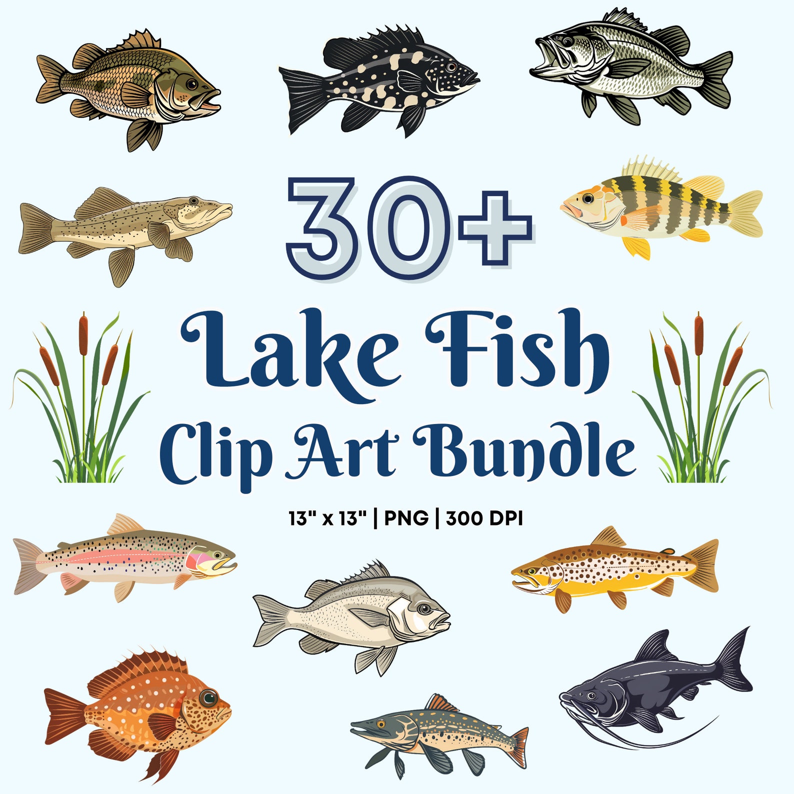 Lake Fish Clip Arts, Lake Fish PNG, Fish Illustration, Printable Art ...