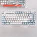 Kawaii Gaming Salmon Themed Keycaps PBT 139 Set MDA Profile for ...