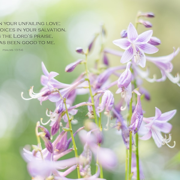 Unfailing Love - Etsy