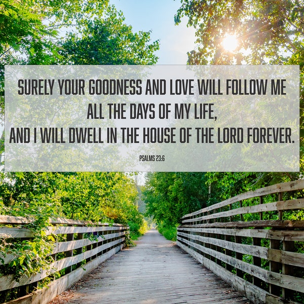 Psalms 23 6 - Etsy
