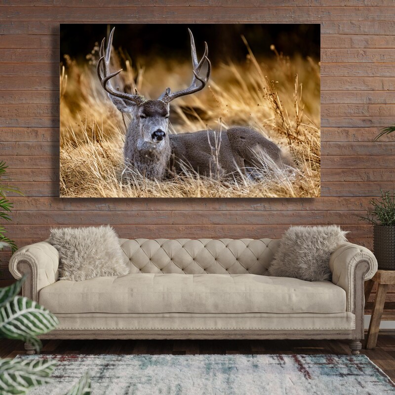 Wildlife Canvas Wall Art - Etsy