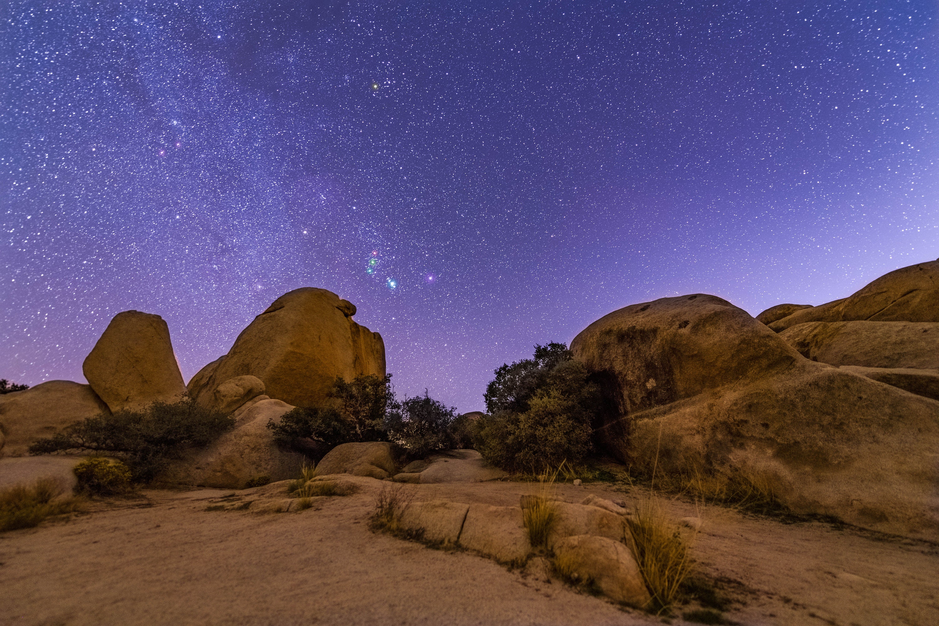 Joshua Tree Night Sky Stars Wall Art, Astrophotography Milky Way Wall ...