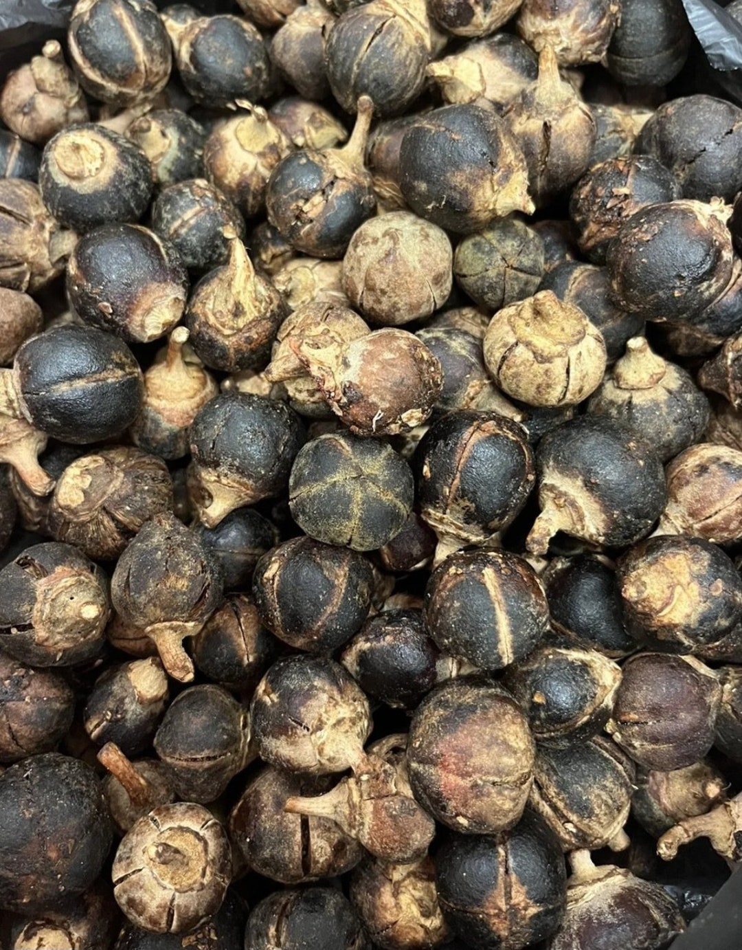 Organic Fresh Goron Tula /azanza/snot Apple Fruits - Etsy