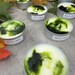 Large Scented Colored Tea Light Fragrance Multi-colored - Etsy
