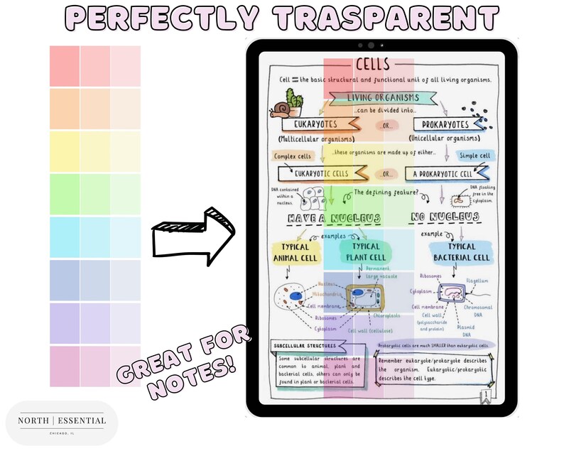 Mini Transparent Sticky Notes, Digital Sticky Notes, Pre-cropped ...