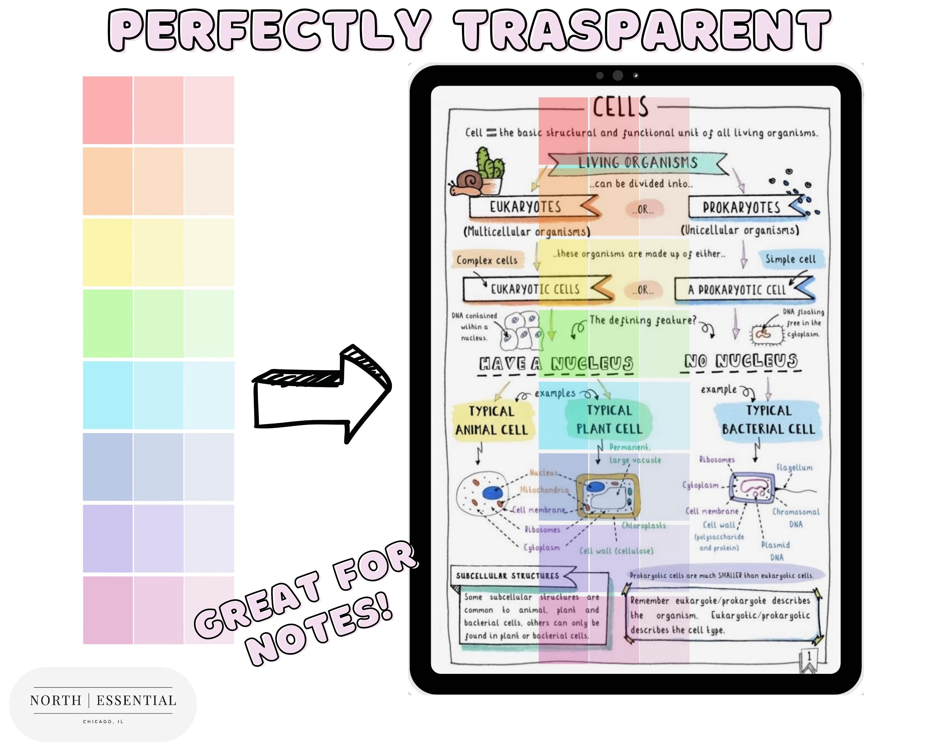 Mini Transparent Sticky Notes, Digital Sticky Notes, Pre-cropped ...
