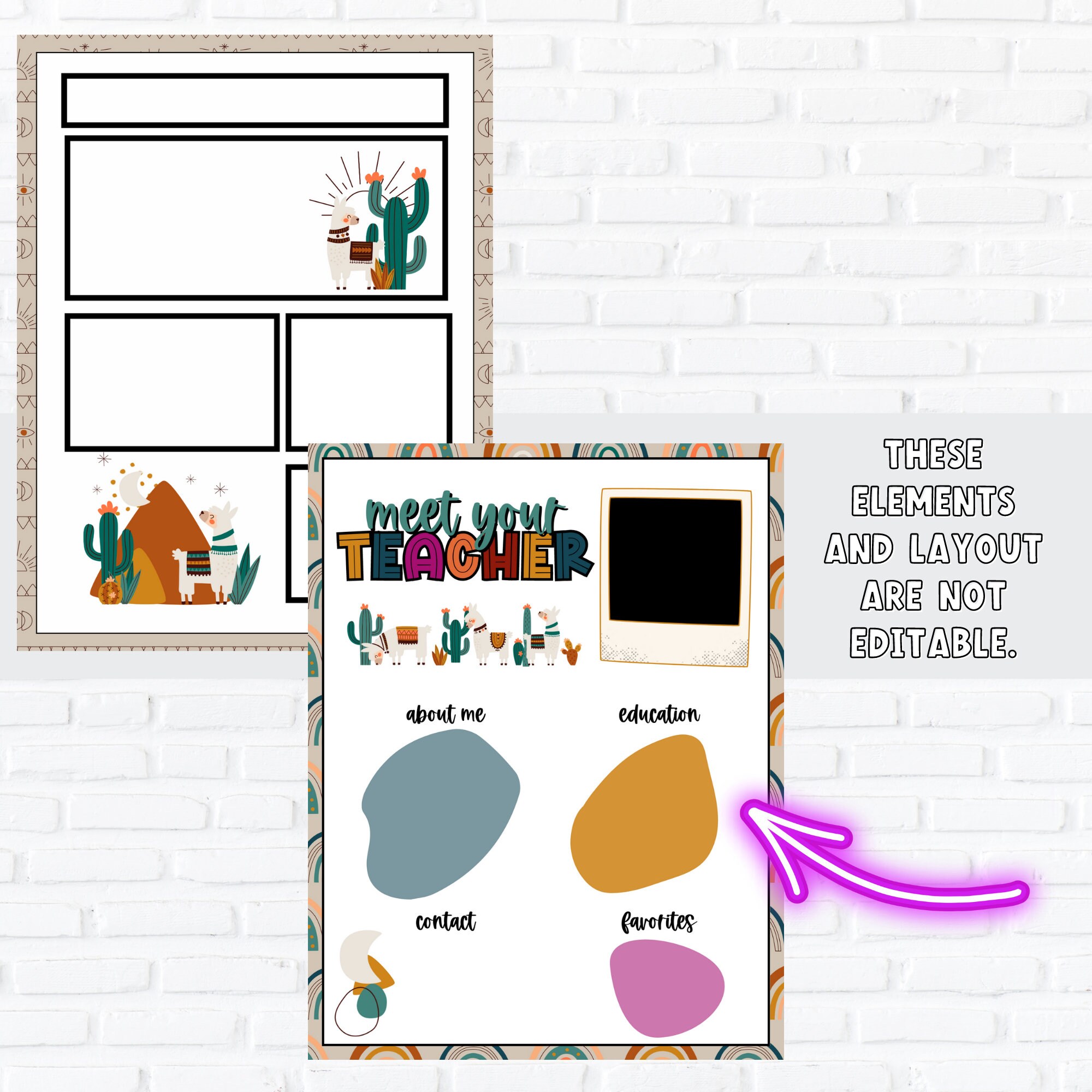 Llama Theme Meet the Teacher School Flyer and Classroom News Template ...
