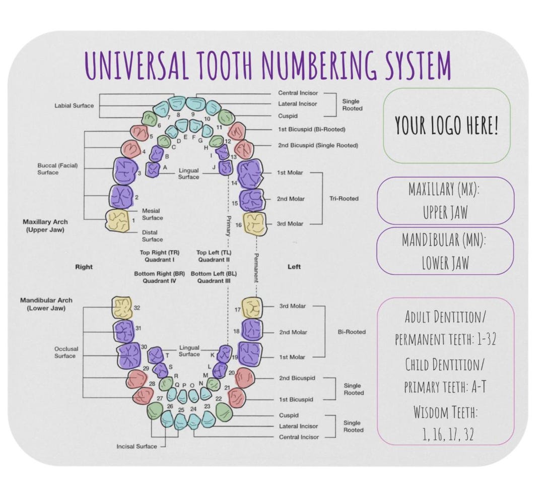Custom LOGO Dental Mousepad - Etsy