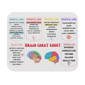 Brain Cheat Sheet Mouse Pad (rectangle), Healthcare Mouse Pad, Brain ...