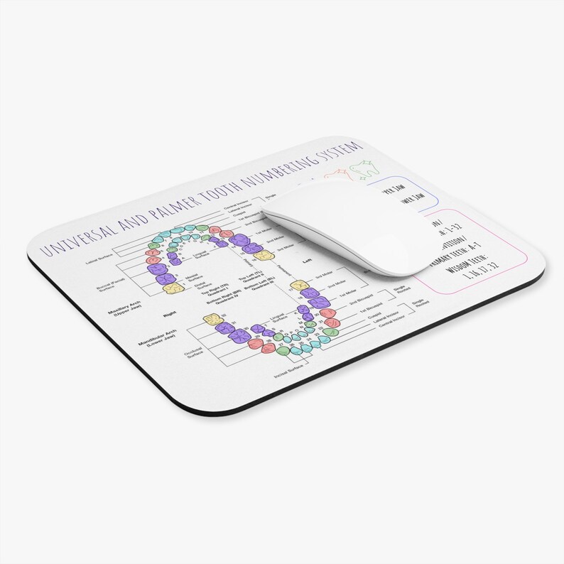 Universal and Palmer Tooth Number System Cheat Sheet Mouse Pad ...