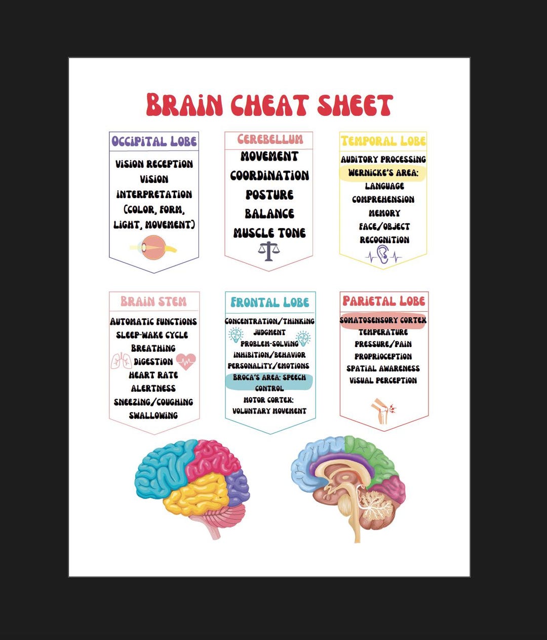 Brain Cheat Sheet Printable - DIGITAL PRODUCT - Etsy