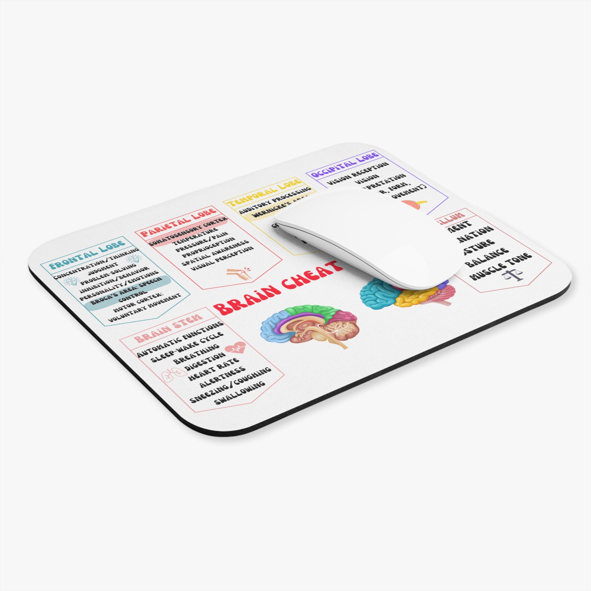 Brain Cheat Sheet Mouse Pad (rectangle), Healthcare Mouse Pad, Brain ...