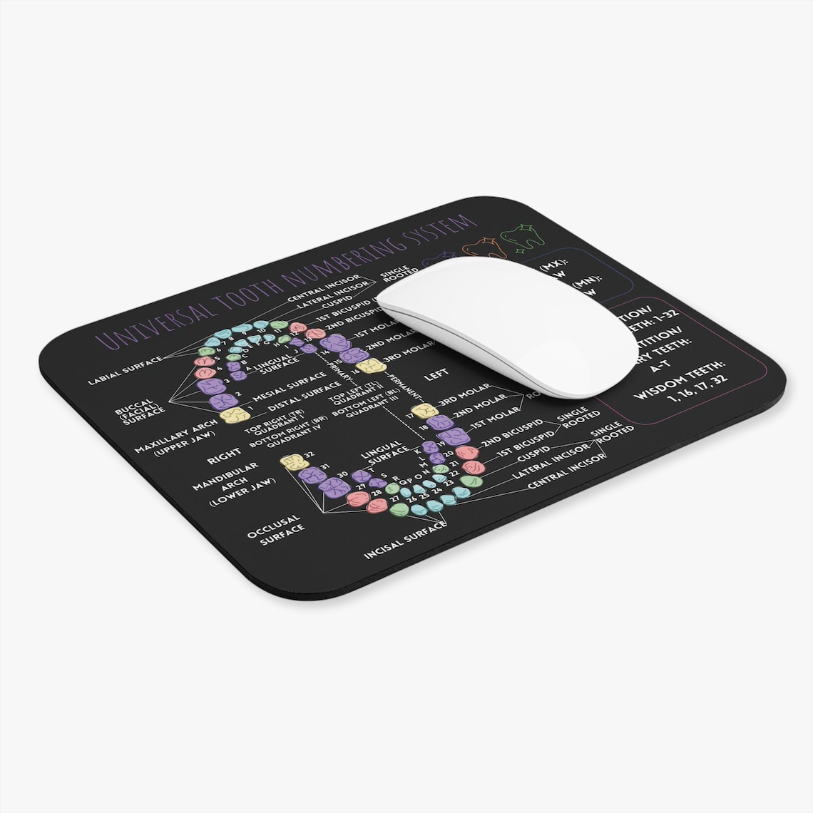 Universal Tooth Numbering System Mouse Pad (black); Dentist, Dental ...