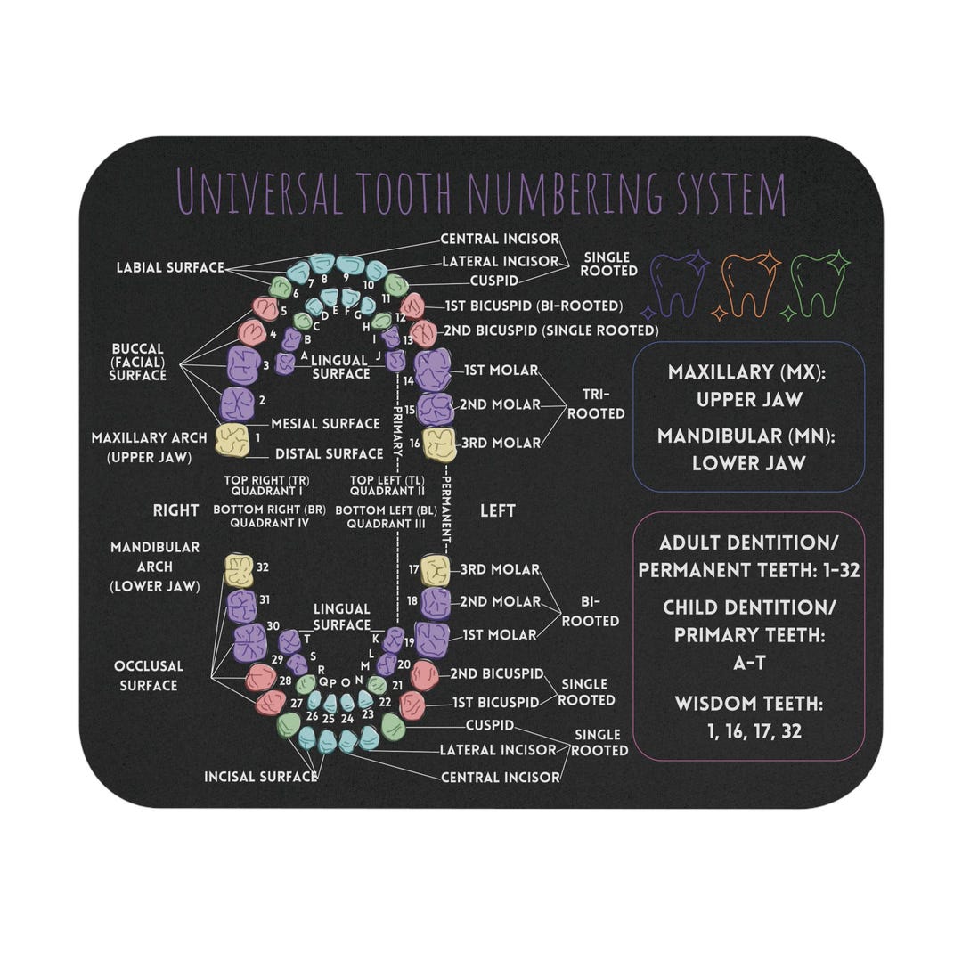 Universal Tooth Numbering System Mouse Pad (black); Dentist, Dental ...