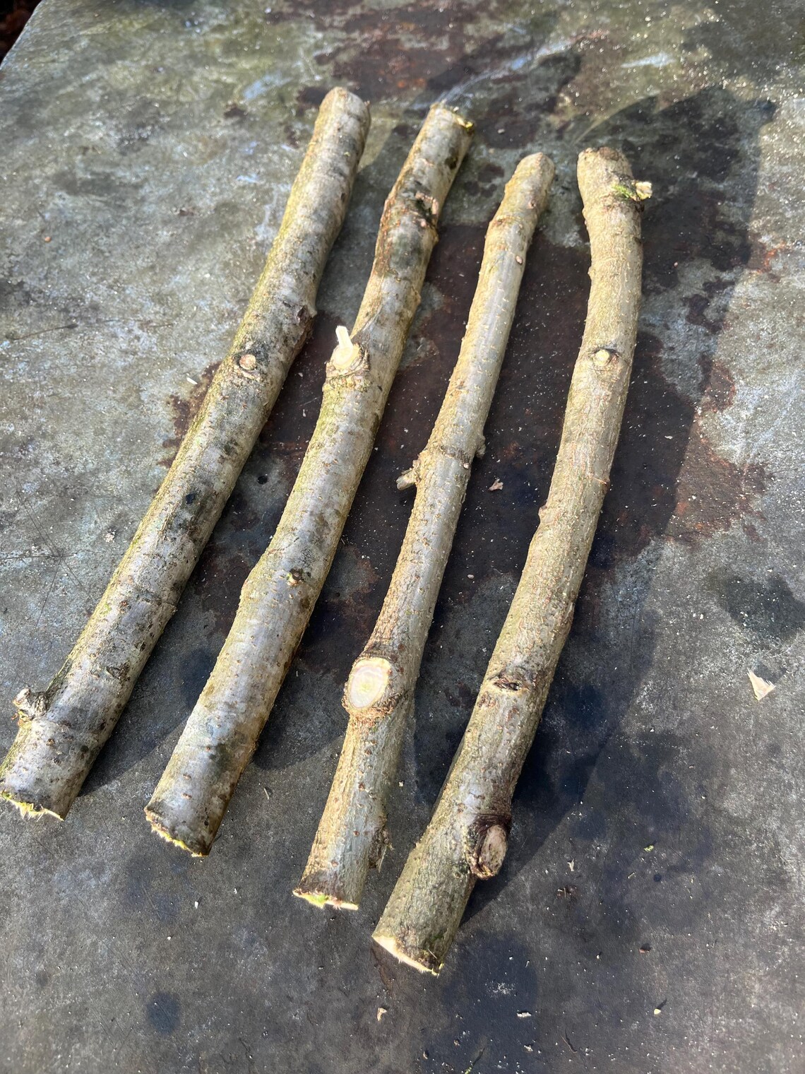 Oak Wood Sticks - Various Sizes - Etsy UK