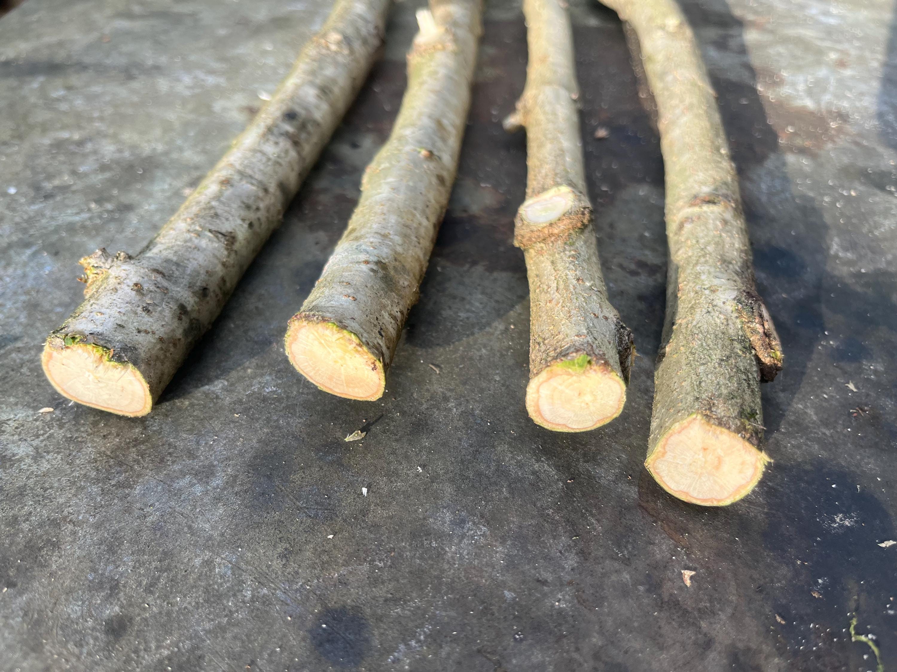 Oak Wood Sticks - Various Sizes - Etsy UK