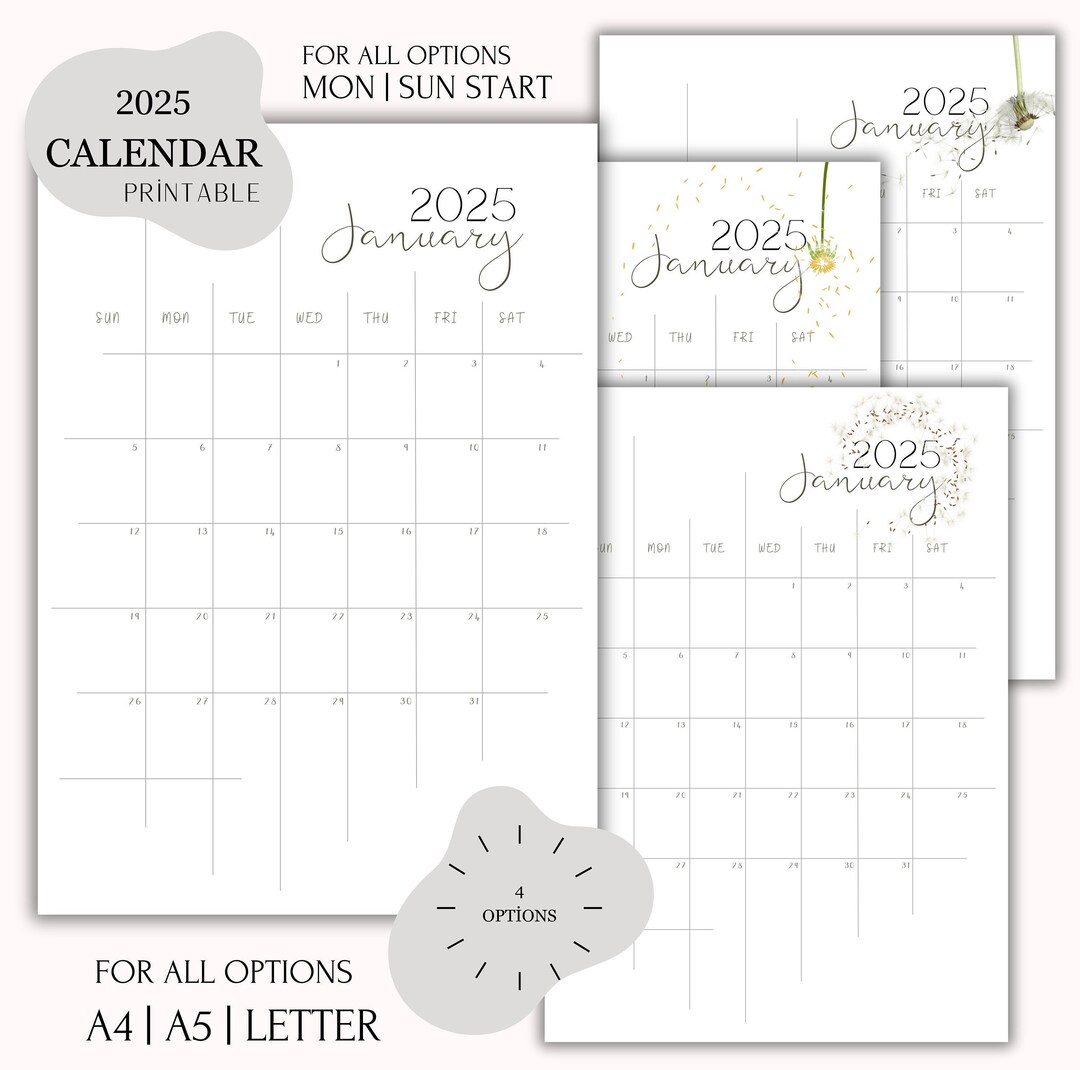 2025 Calendar, Printable Monthly Calendar, Minimalist Year Overview ...