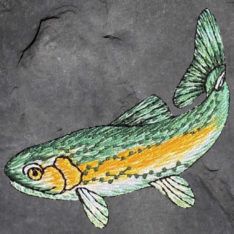 Freshwater Fish Patch Set - Trout, Bass, Catfish, Crappie, Fishing ...