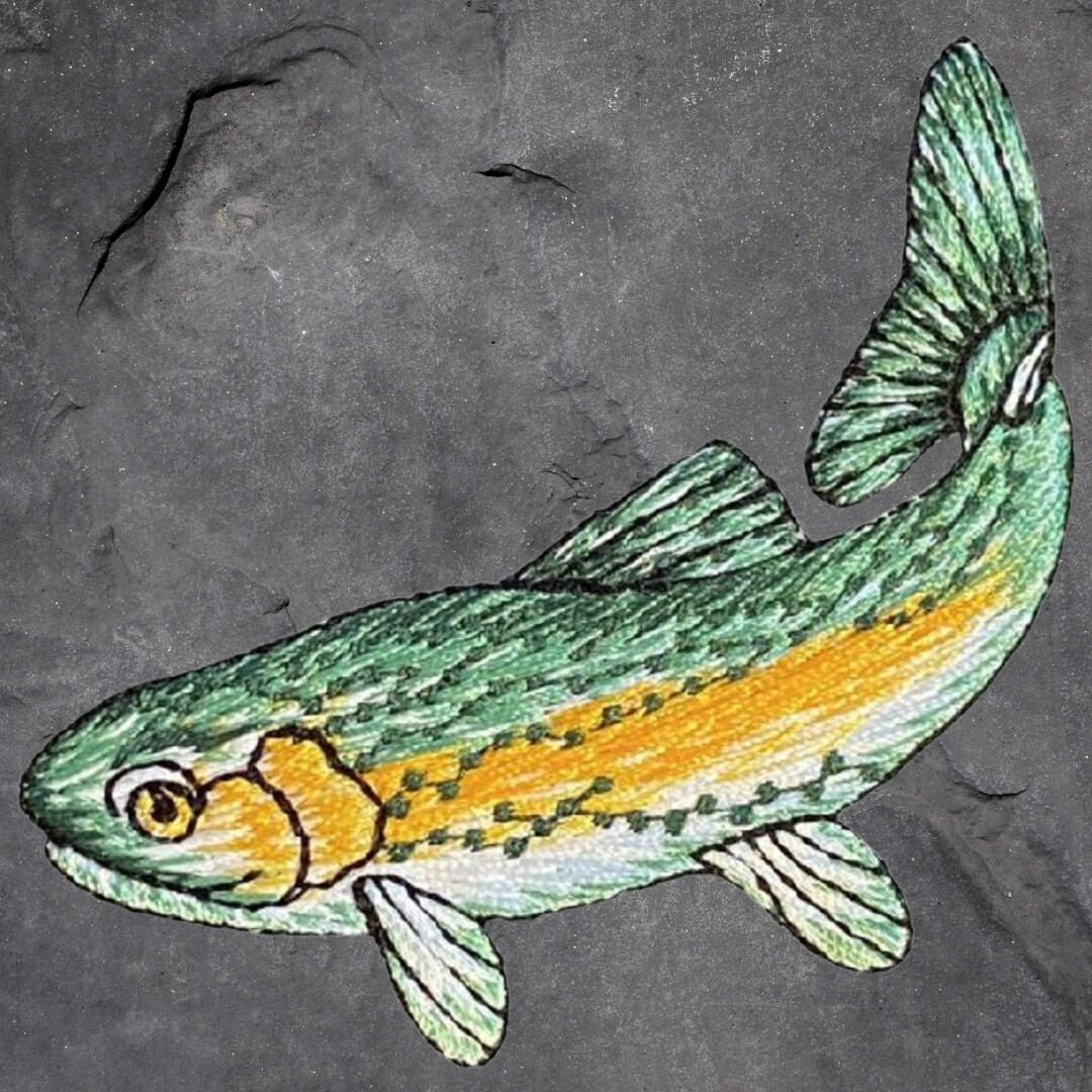 Freshwater Fish Patch Set Trout, Bass, Catfish, Crappie, Fishing iron ...