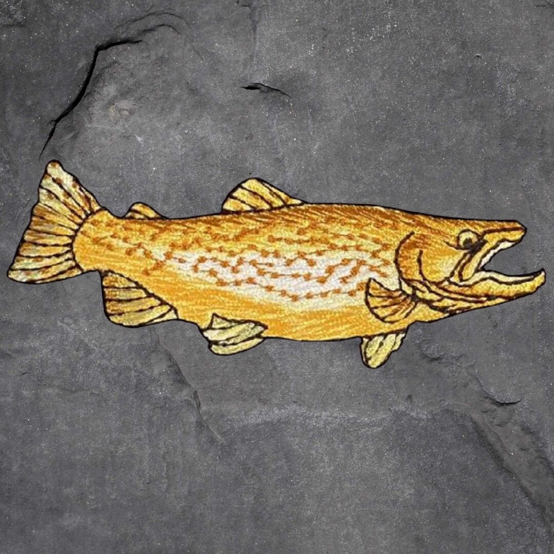 Trout Patch Set Golden Trout, Striped Brook Trout, Brown Troutiron On ...