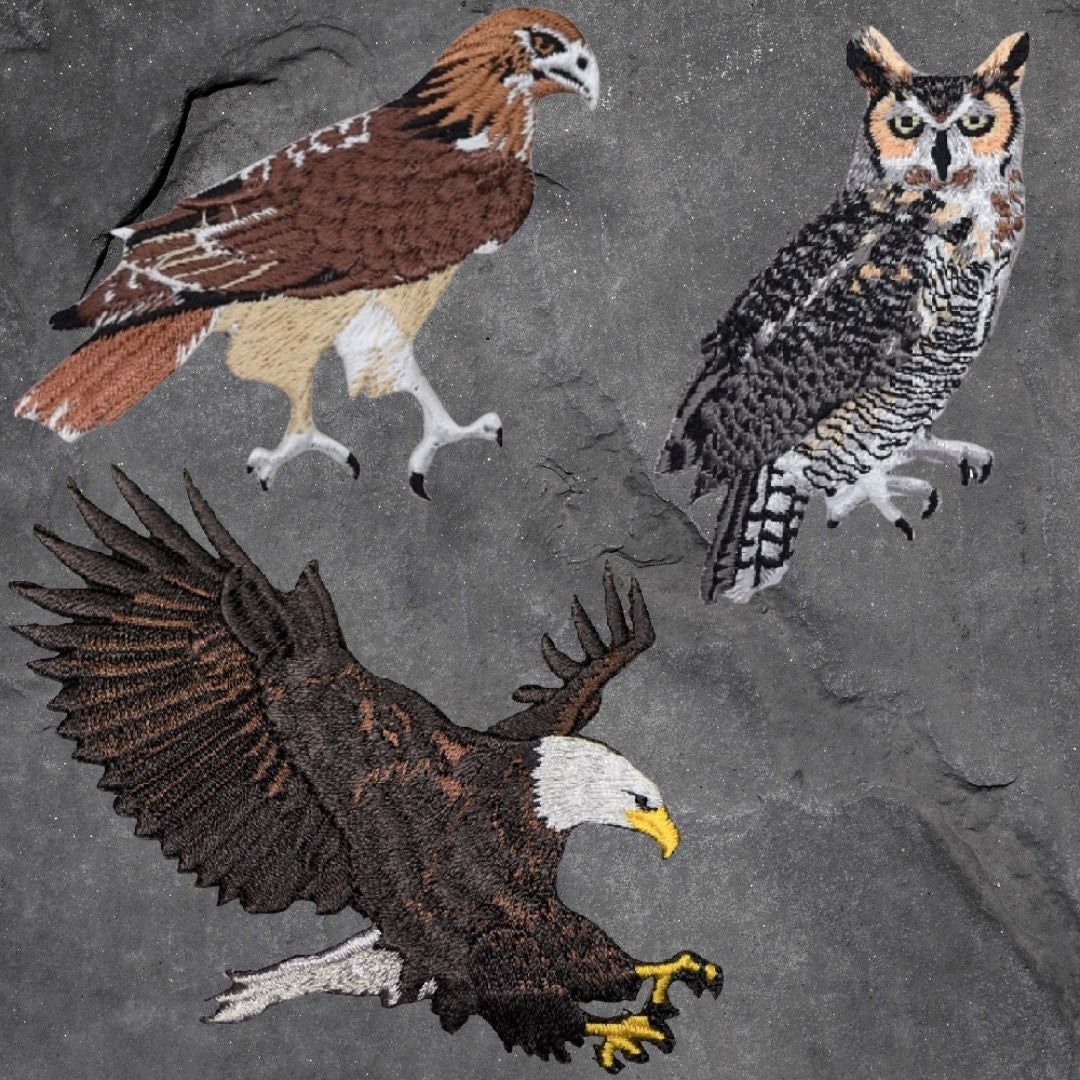 Birds of Prey Patch Set - Hawk, Owl, Bald Eagle, Raptor, Animal ...