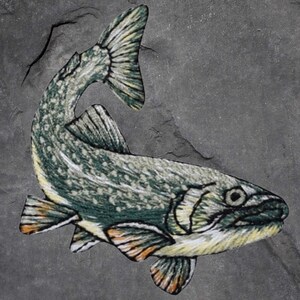 Freshwater Fish Patch Set - Trout, Bass, Catfish, Crappie, Fishing ...