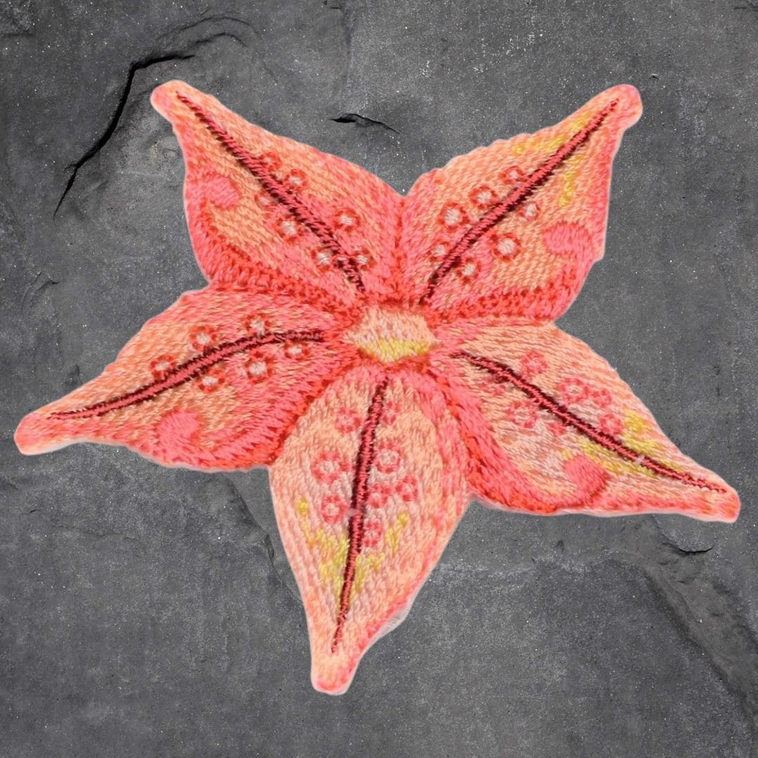Starfish Patch Set Pink Starfish, Ocean, Sea Creature, Sealife iron On - Etsy