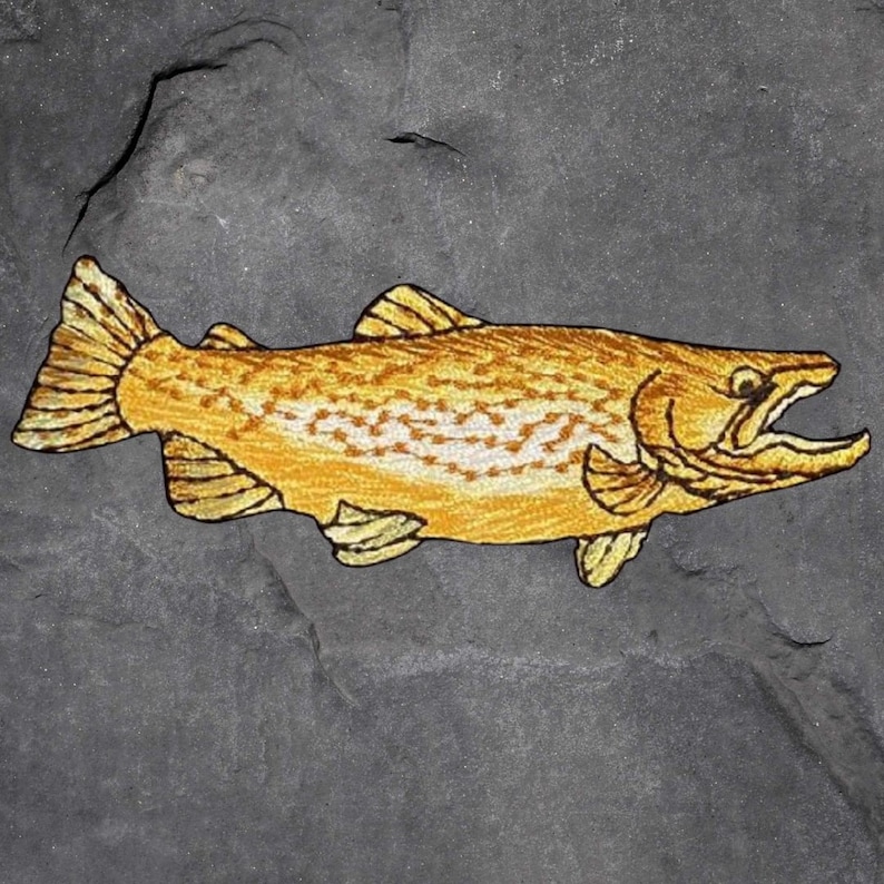 Freshwater Fish Patch Set - Trout, Bass, Catfish, Crappie, Fishing ...