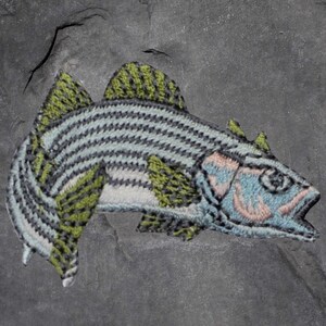 Freshwater Fish Patch Set - Trout, Bass, Catfish, Crappie, Fishing ...