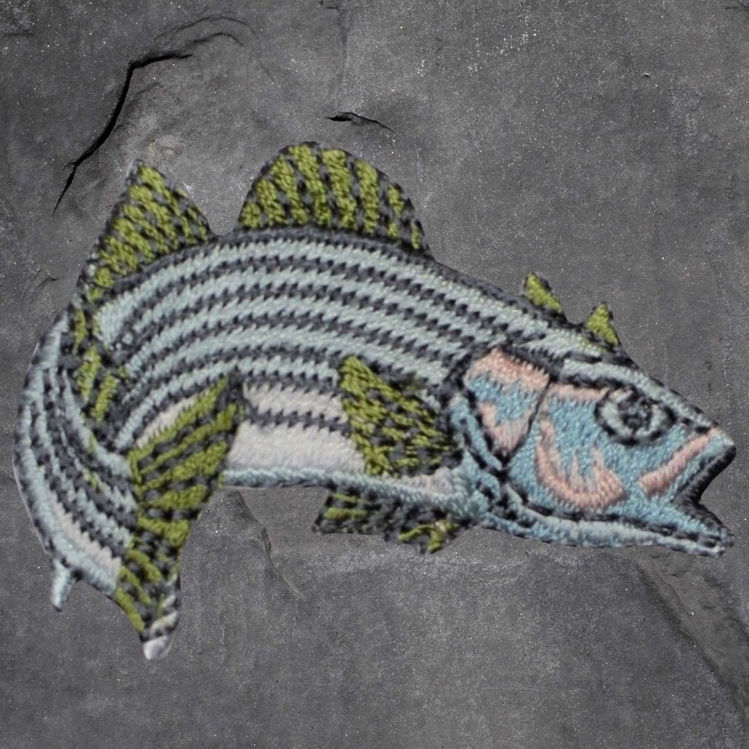 Freshwater Fish Patch Set Trout, Bass, Catfish, Crappie, Fishing iron ...