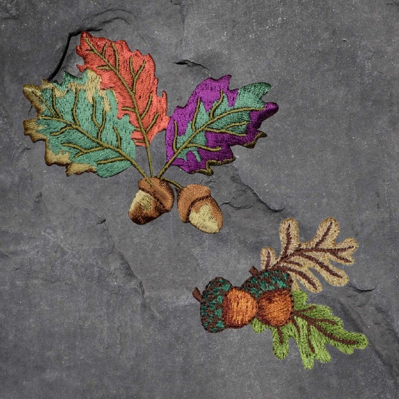Acorn Applique - Etsy