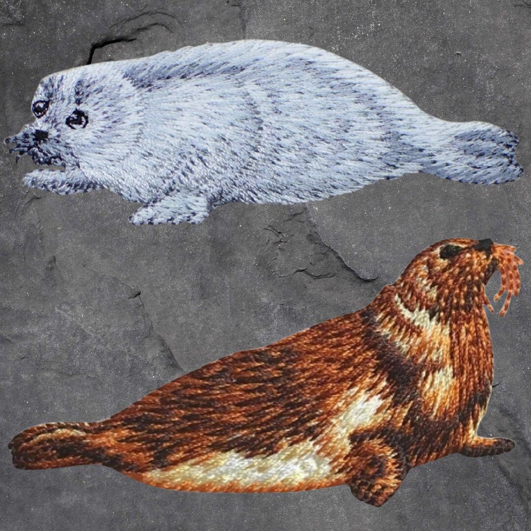 Seal Patch Set - Harp Seal, Brown Seal, Animal, Applique (iron On) - Etsy