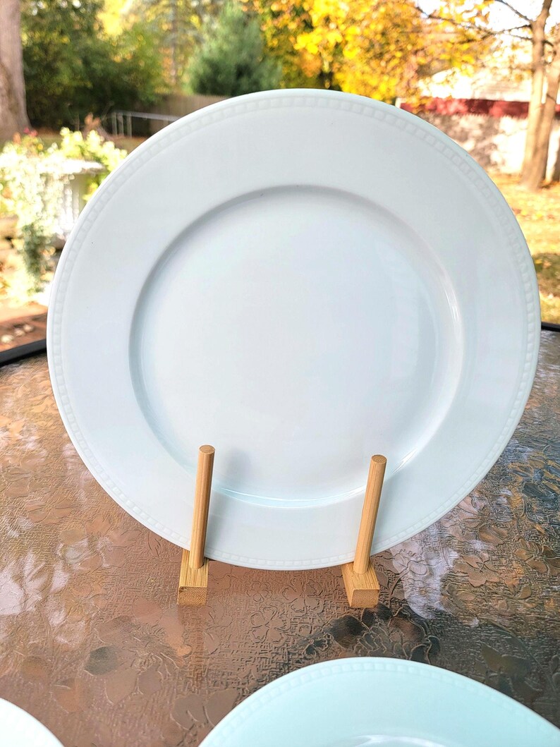 Apilco Beaded Hemstitch Porcelain Plates: French Salad (3) and Dinner ...