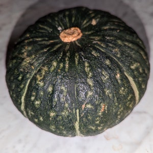 Kabocha Squash - Etsy