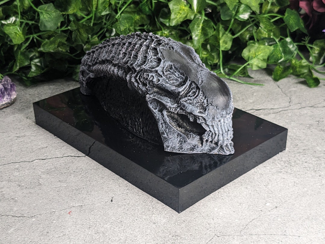 Large Alien / Xenomorph Queen Skull Ornament Handmade Sci - Etsy