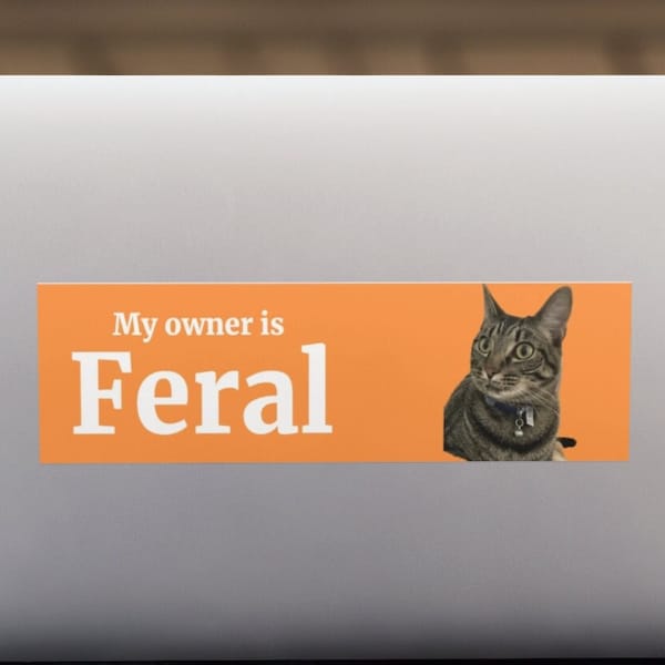 Cat Bumper Sticker - Etsy