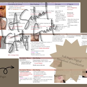 Dermatology Comprehensive Study Guides | Digital Download | Physician ...