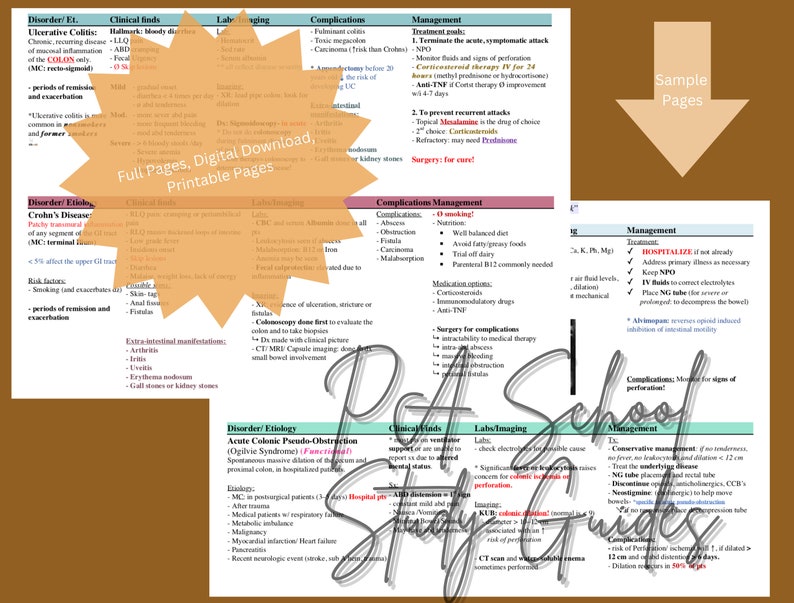Gastroenterology Comprehensive Study Guides | Digital Download ...