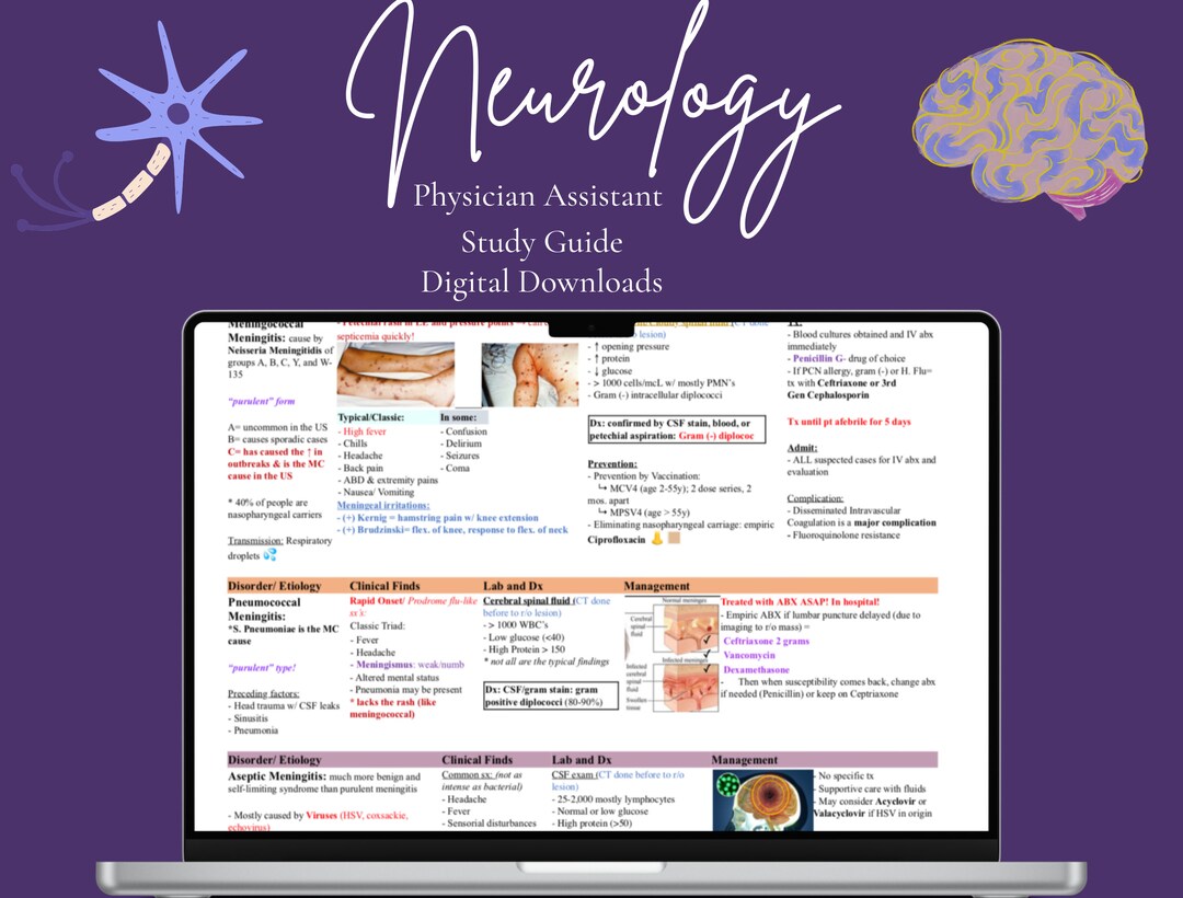 Neurology Comprehensive Study Guides | Digital Download | Physician ...